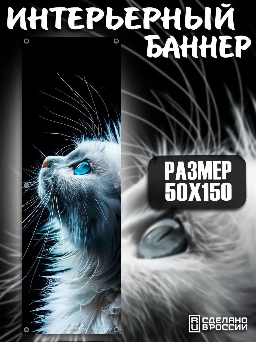 Постер на стену баннер Cat 50х150
