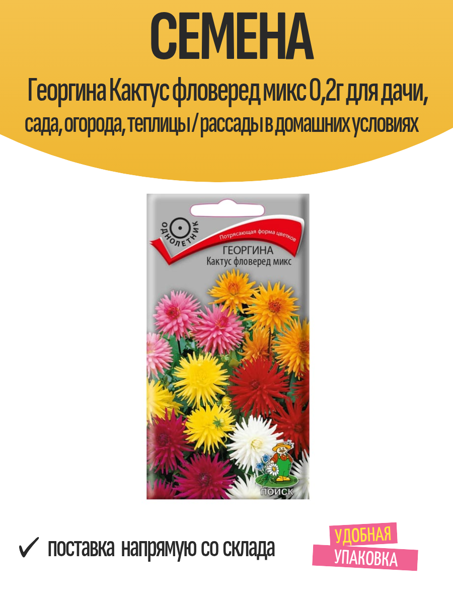 Семена Георгина Кактус фловеред микс 0,2г для дачи, сада, огорода, теплицы / рассады в домашних условиях