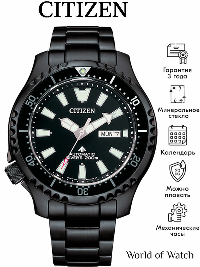 Наручные часы Promaster