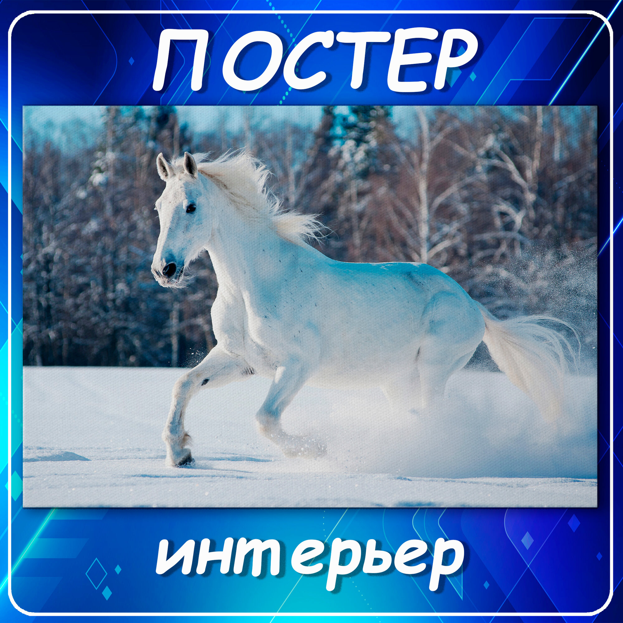 Постер 01, плакат, животные, лошади, кони, постер интерьерный, арт 1-1 70х100 см