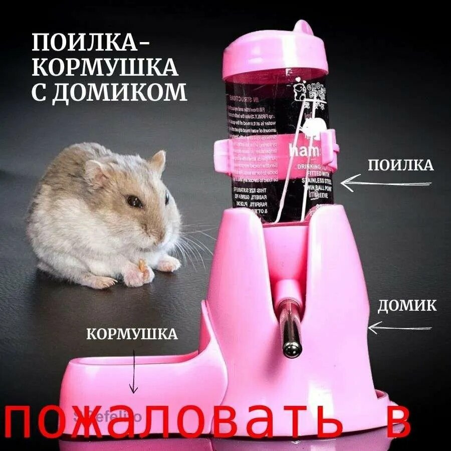 Кормушка с автоматической поилкой и домиком для грызунов (хомяк, мышь, декоративная крыса и др)