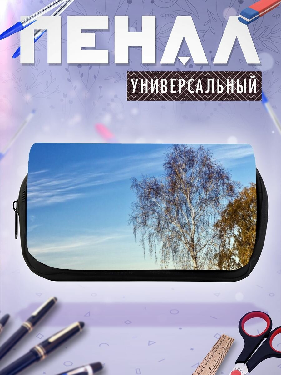 Школьный пенал природа береза