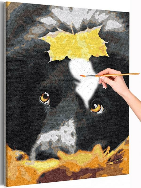 Осенний лист и собака / Прогулка / Животные Раскраска картина по номерам на холсте 40х50
