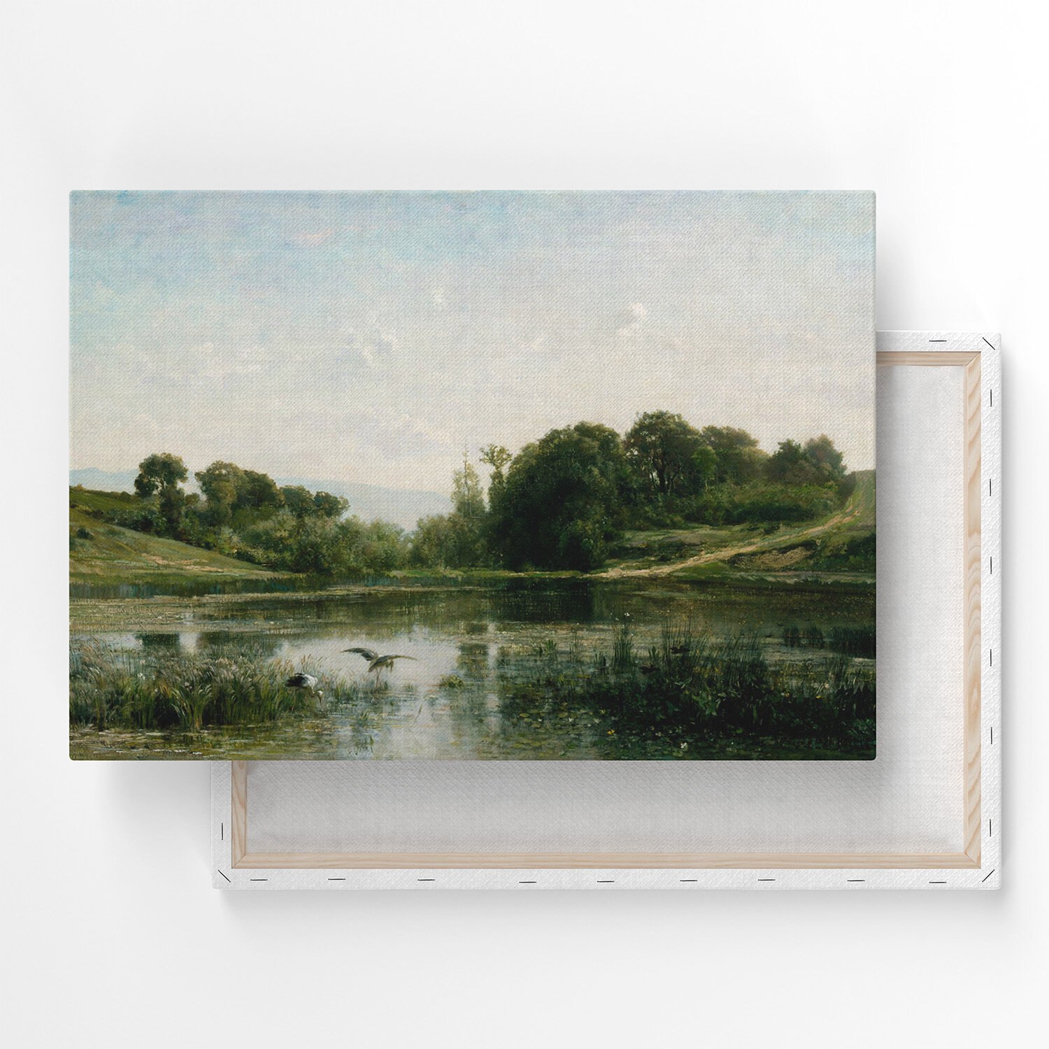 Картина на холсте, репродукция / The Ponds of Gylieu / Шарль-Франсуа Добиньи / Размер 40 x 53 см