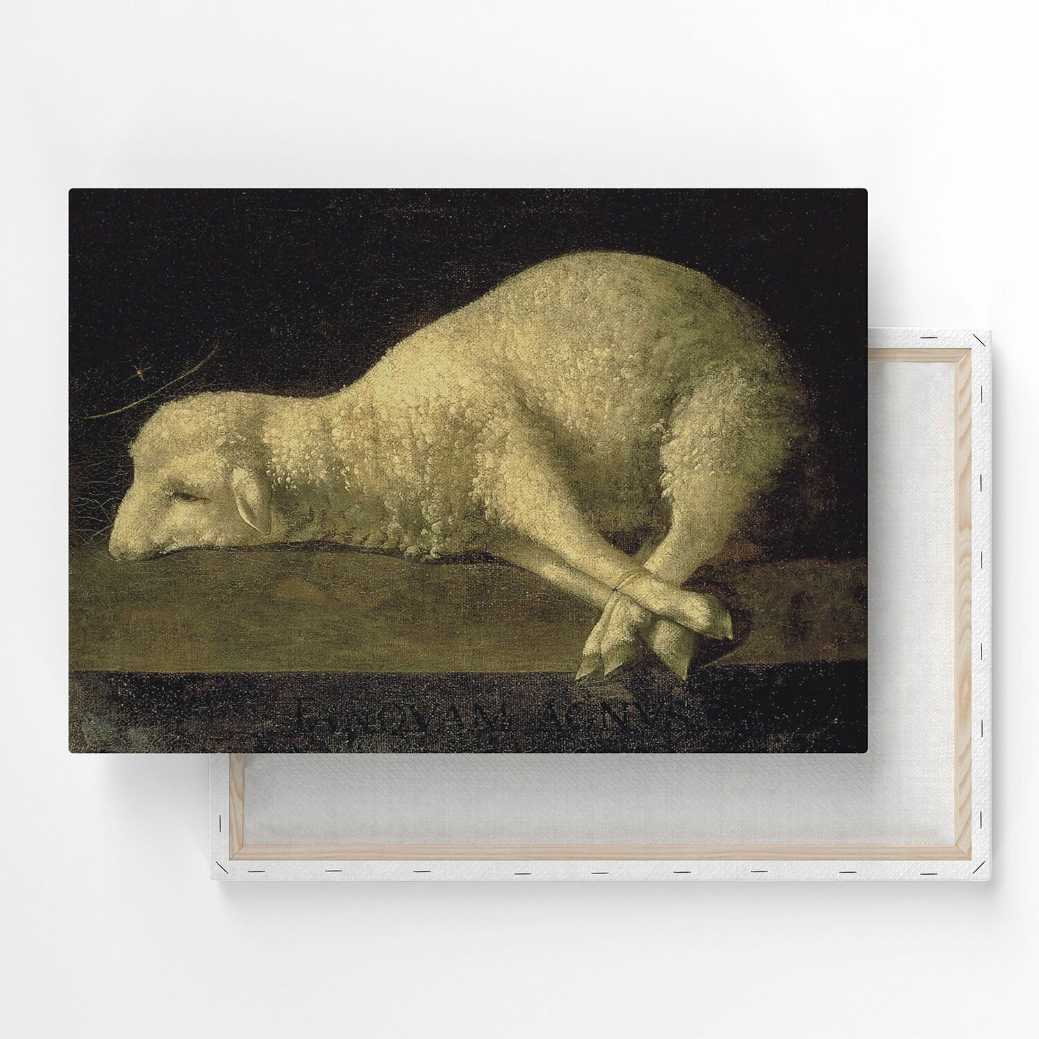 Картина на холсте, репродукция / Франсиско де Сурбаран - Agnus Dei / Размер 30 x 40 см