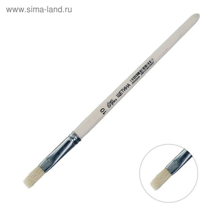 Кисть Щетина плоская №10 (ширина обоймы 10 мм; длина волоса 18 мм), деревянная ручка, Calligrata, 2390668 5 упаковки