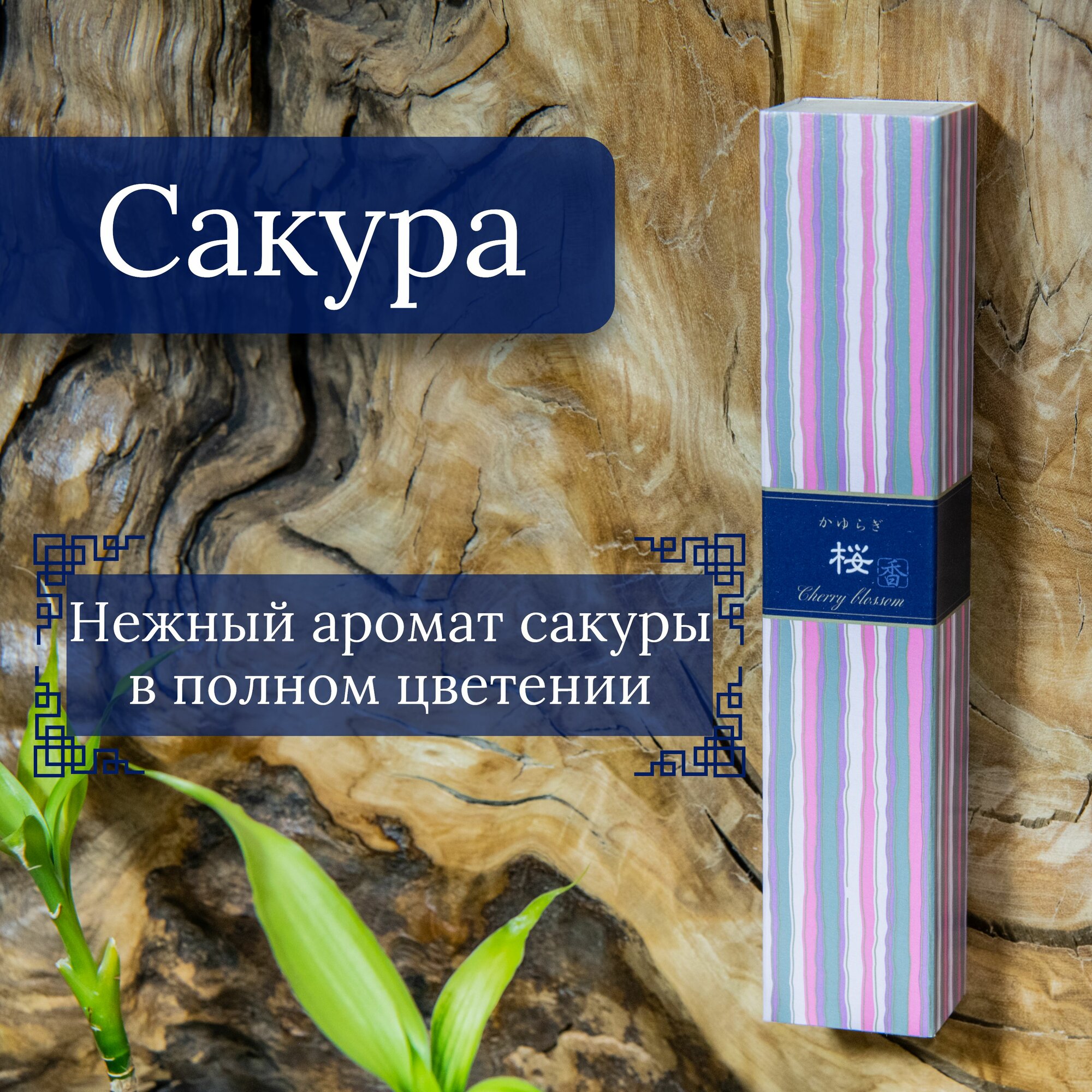 Kayuragi благовоние Cherry Blossoms (Цветущая сакура), 40 ароматических палочек по 14 см