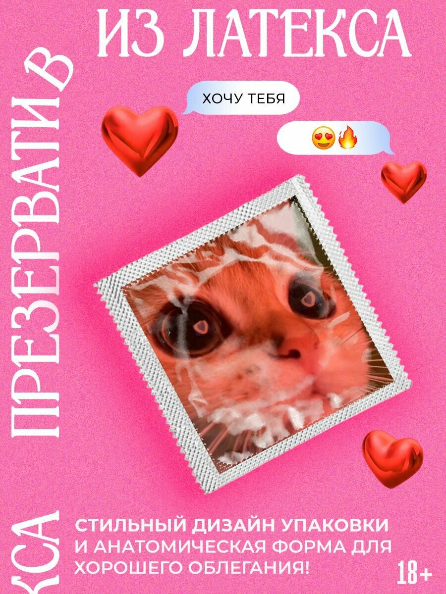 Презервативы, 18+, Котики