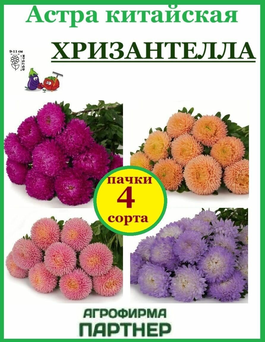 Набор Астра китайская Хризантелла семена Партнер( 4 упаковки*5 шт семян)