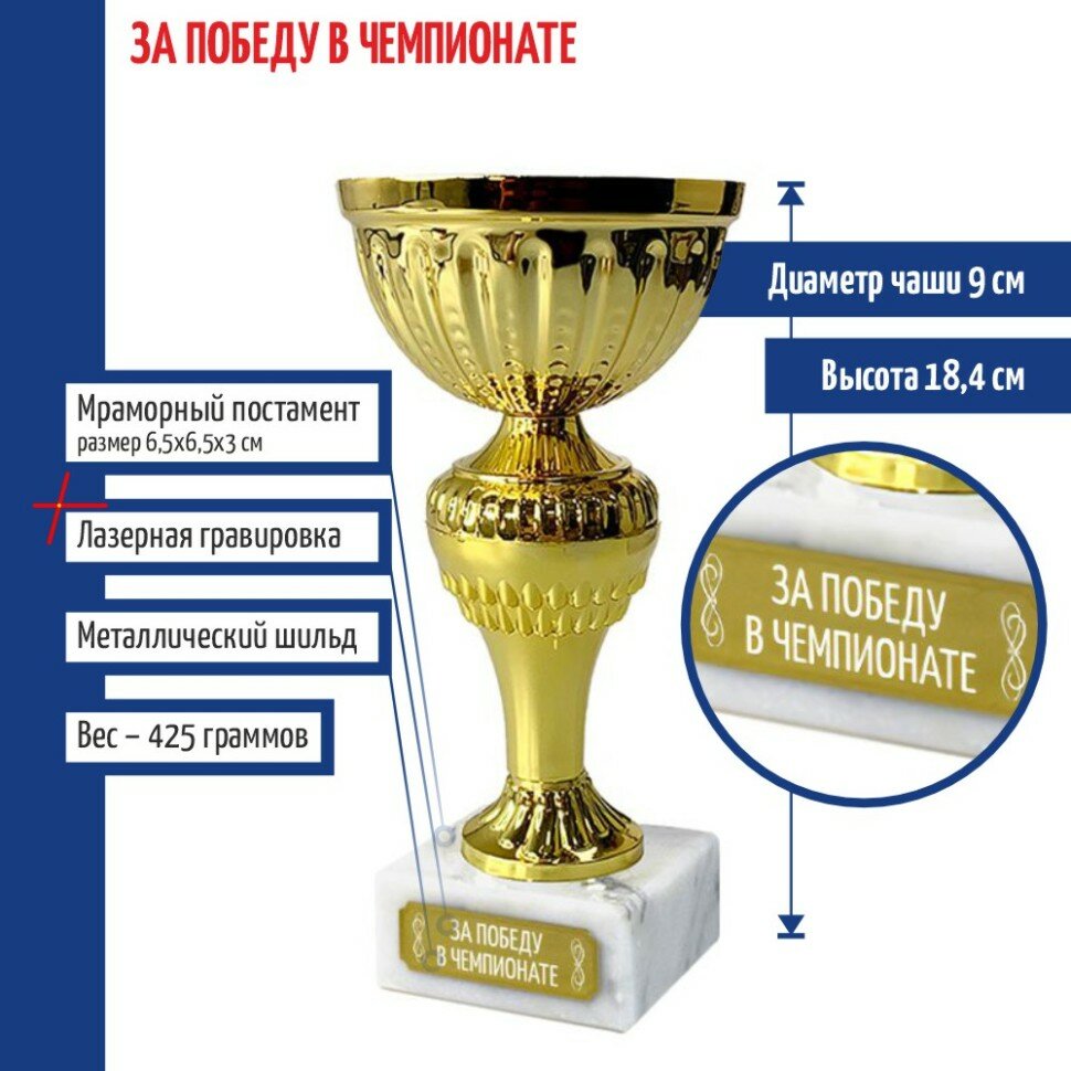 Кубок "За победу в чемпионате" (18,4 см)