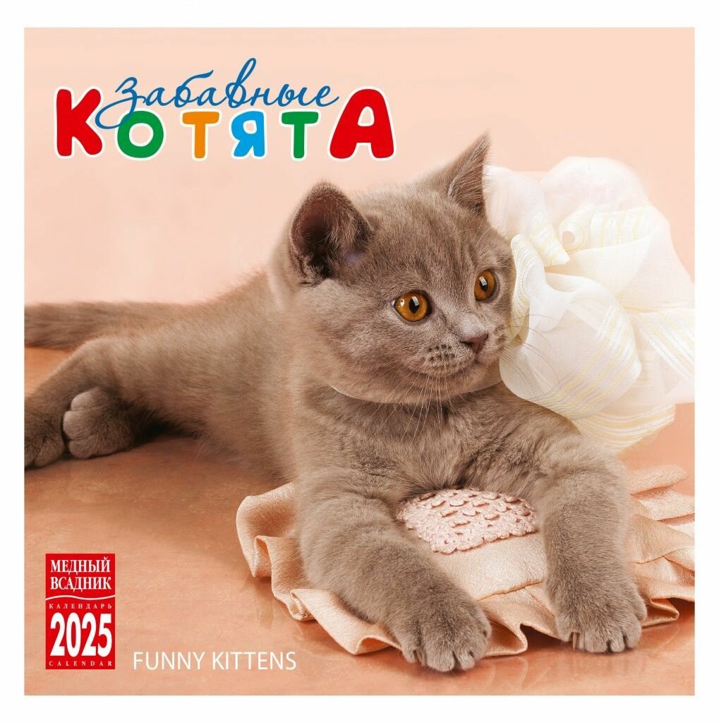 Календарь Забавные котята на 2025 год