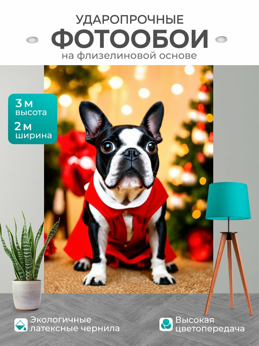 Фотообои моющиеся ударопрочные "Собака бостон-терьер, в умилительном наряде на домашней вечеринке с веселой атмосферой" 200x300 см. флизелиновые на стену