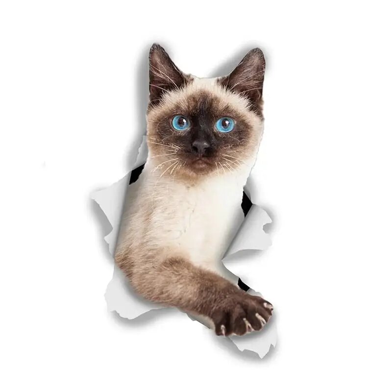 Наклейка на стену с котом Сиамской породы, 25см, M458-03