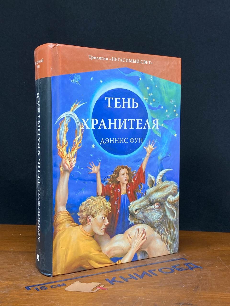 Книга. (Дефект) Тень Хранителя 2011 (2042080887018)