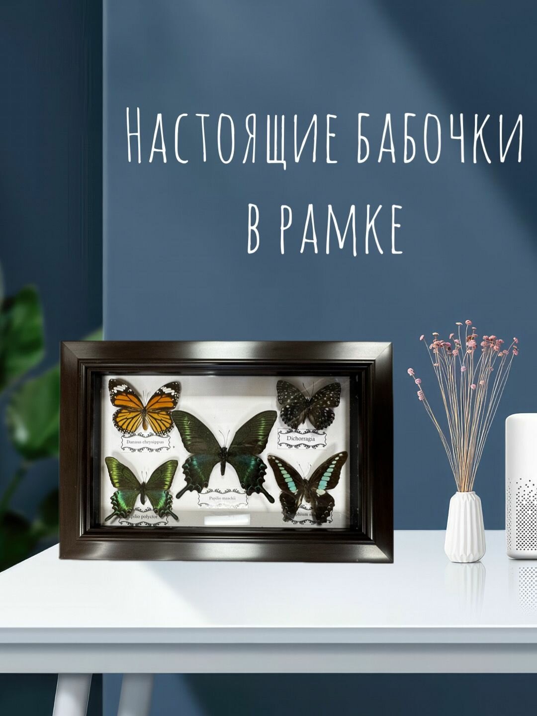 Набор бабочек в рамке Ramona, ручная авторская работа, голубой, 29.5х19.5 см, 5 шт.