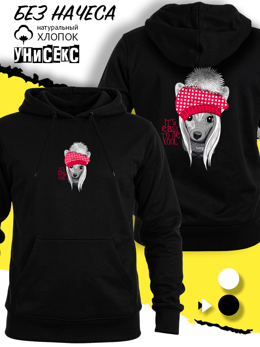 Худи Толстовка свитшот собака китайская хохлатая