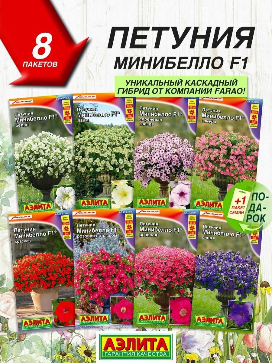Семена цветов Аэлита Петуния мини Минибелло F1 8 сортов / Семена Петунии