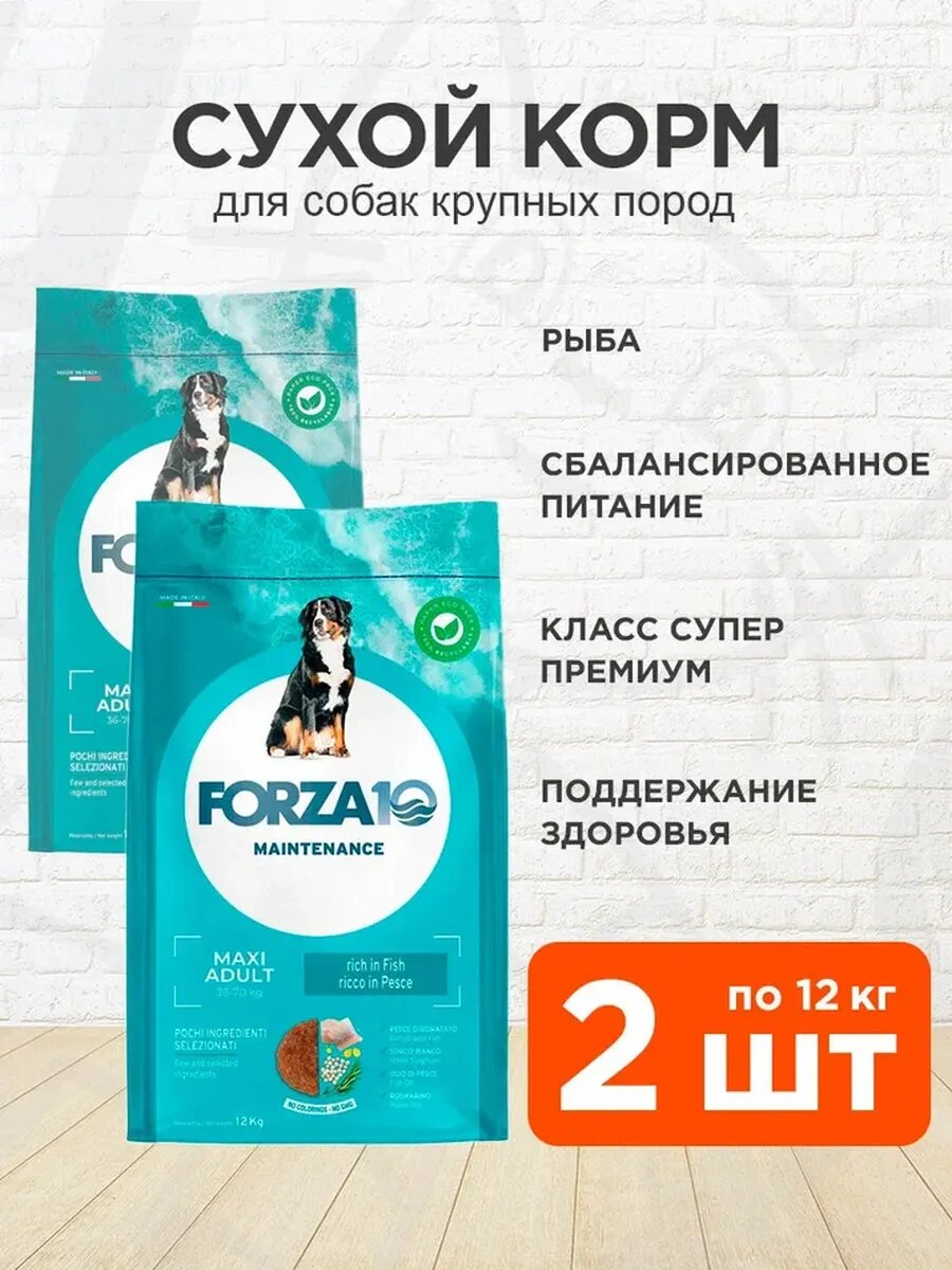 Корм сухой Forza10 Dog Maintenance Adult Maxi для взрослых собак крупных пород с рыбой, 12 кг х 2 шт