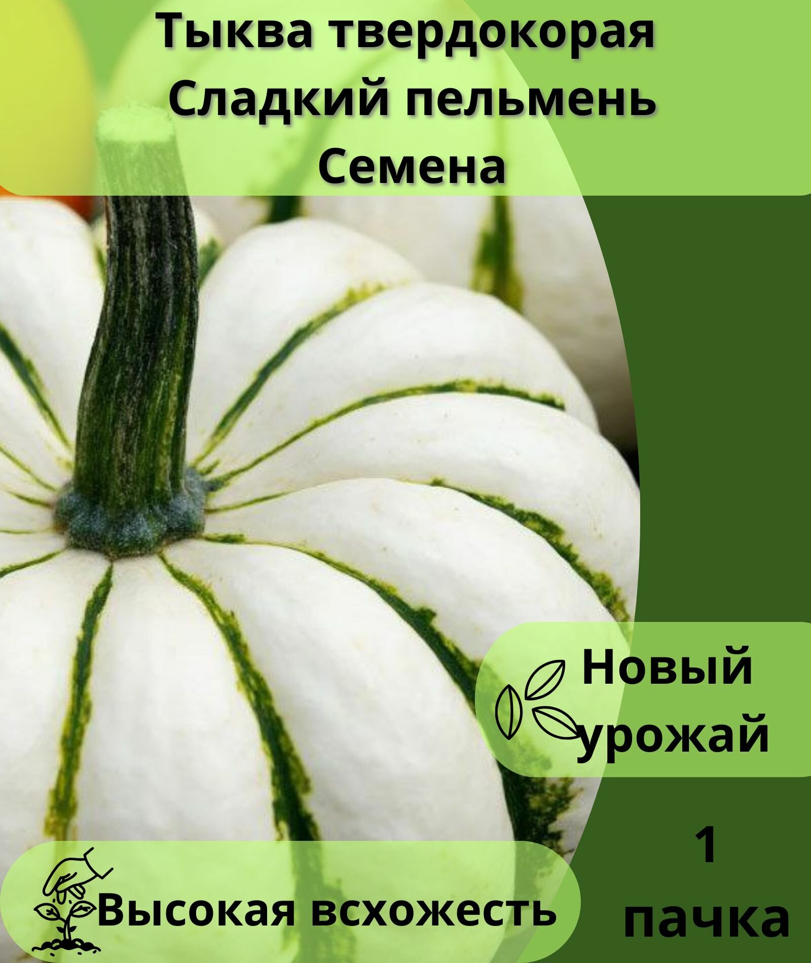 Тыква твердокорая "Сладкий пельмень", семена 10шт