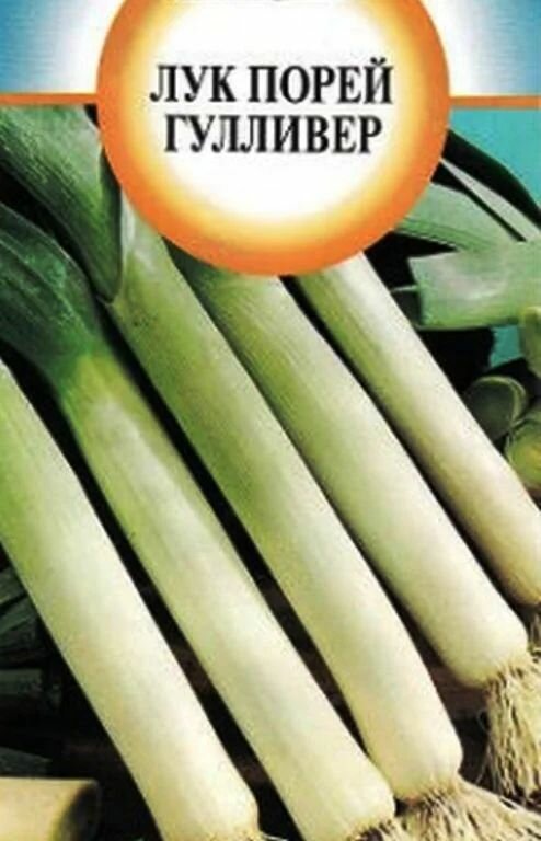 Коллекционные семена лука порей Гулливер