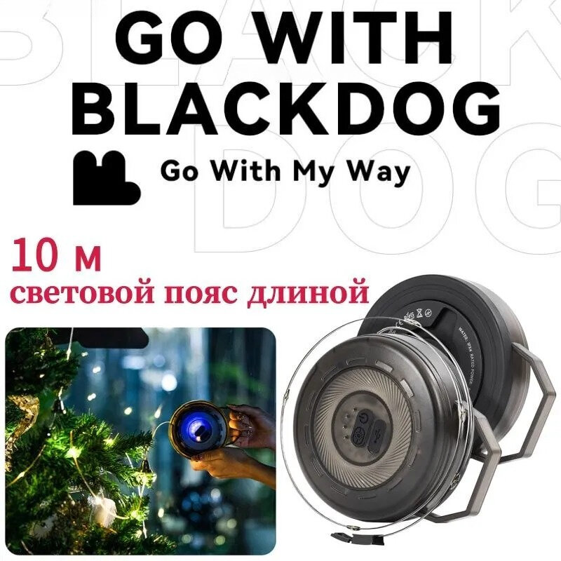 Фонарь-гирлянда для кемпинга BLACKDOG CBD2450ZM017, 10 метров, IPX4, 2000 мАч, с рулеткой для сматывания, черный