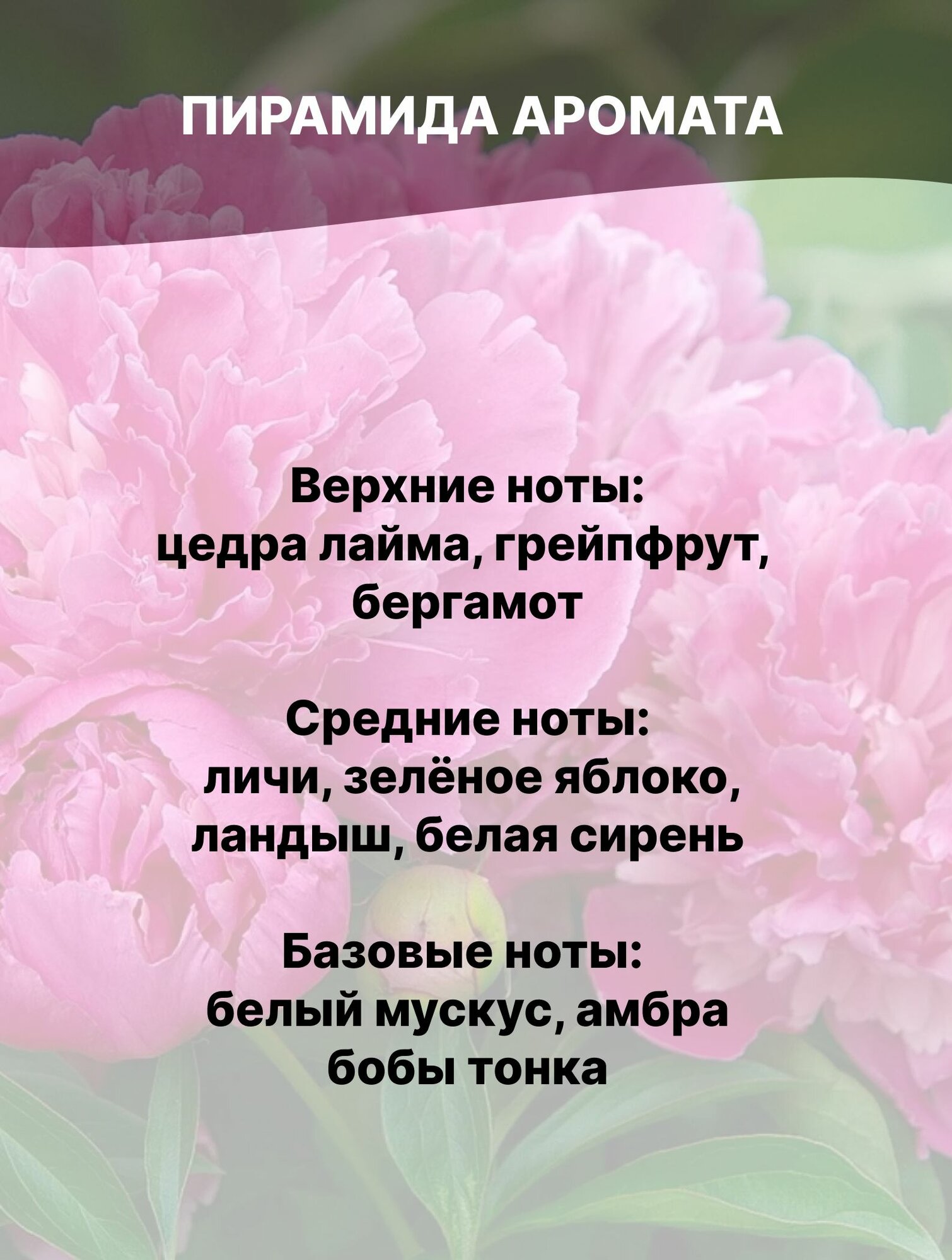 Отдушка Пион 100 гр — фото 1