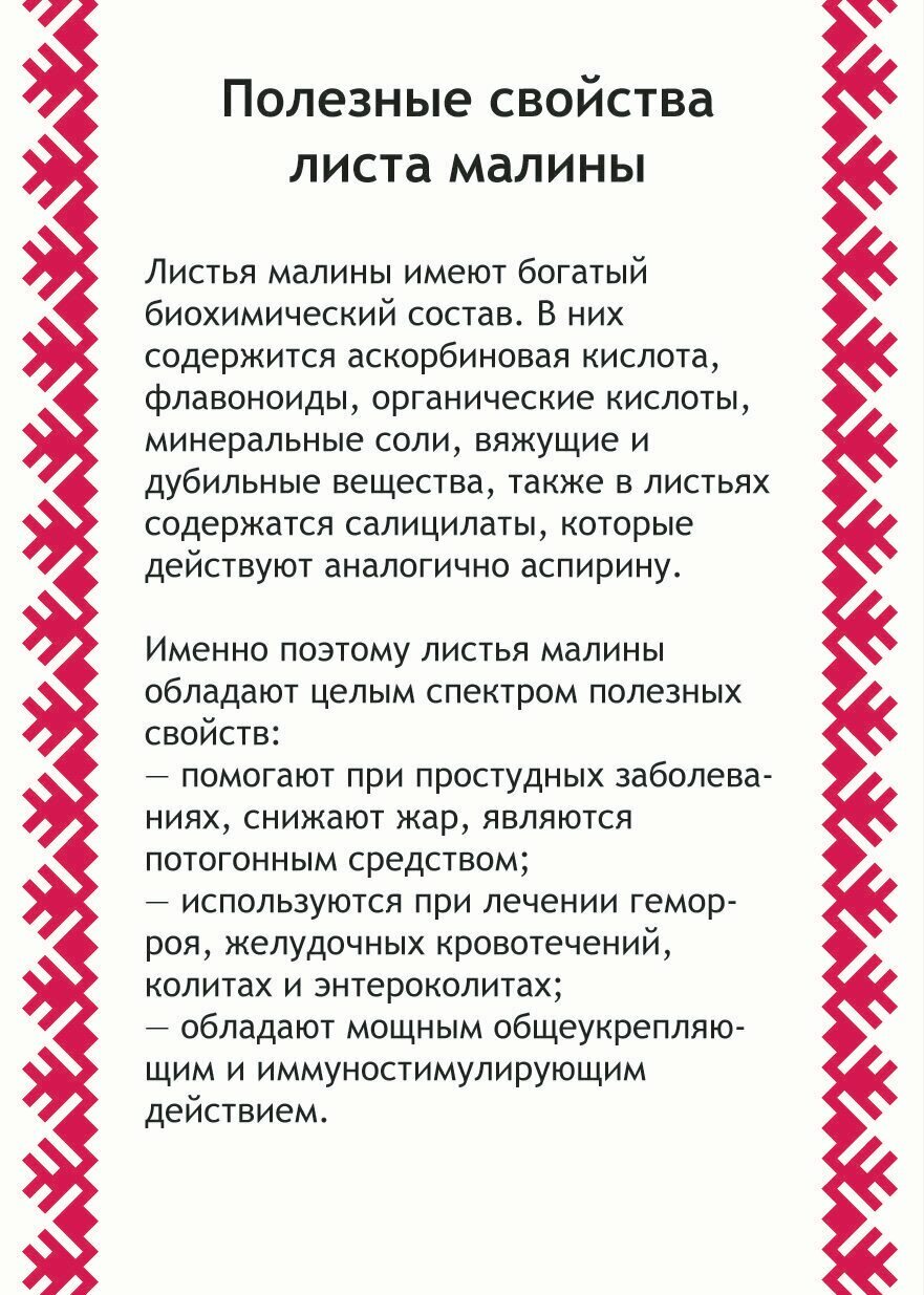 Лист малины 500 г - натуральный и эффективный способ борьбы с простудными заболеваниями — фото 1