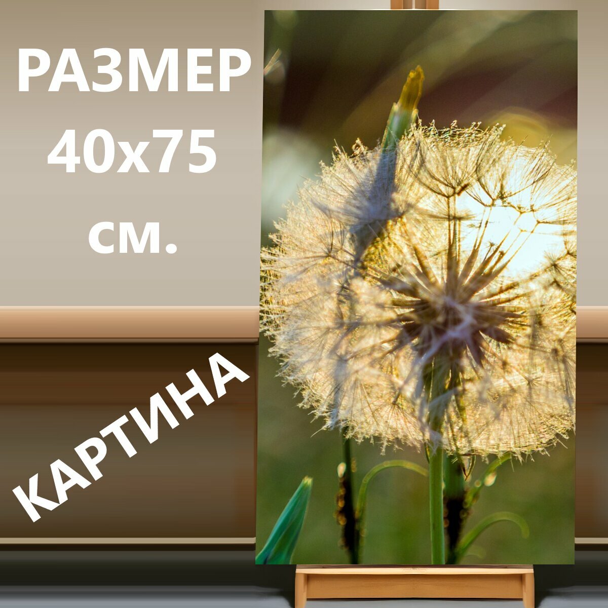 Картина на холсте "Одуванчик, одуванчики, вниз" на подрамнике 75х40 см. для интерьера
