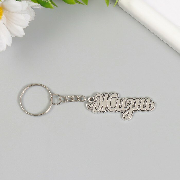 Брелок для ключей на кольце Жизнь. Росток, металл, 2×5 см, 12 шт.