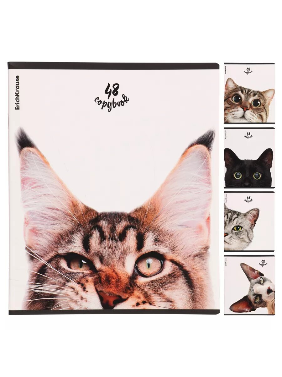 Тетрадь 48 листов в клетку