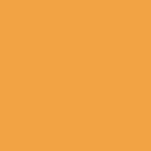 Sunset Orange — фото 1