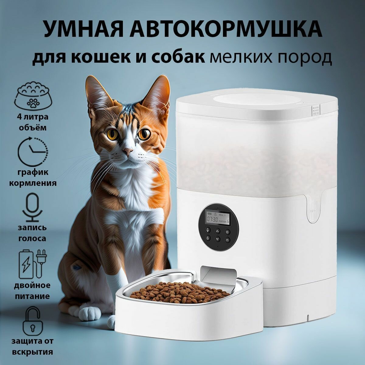 Автокормушка