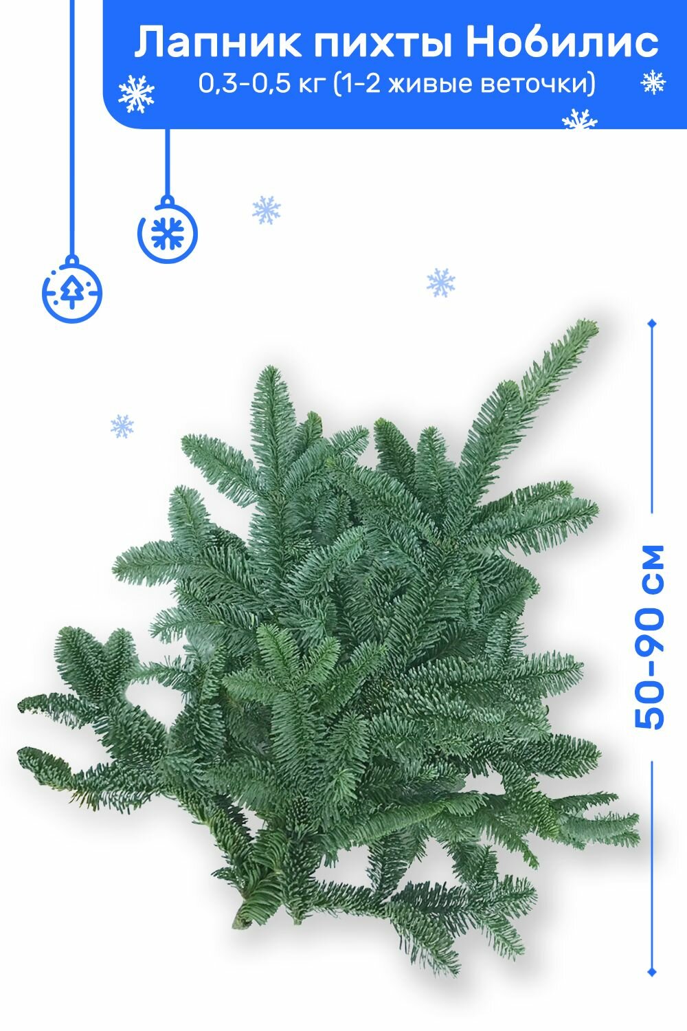 Лапник пихты Нобилис пучок 0,3-0,5 кг (1-2 живые веточки)