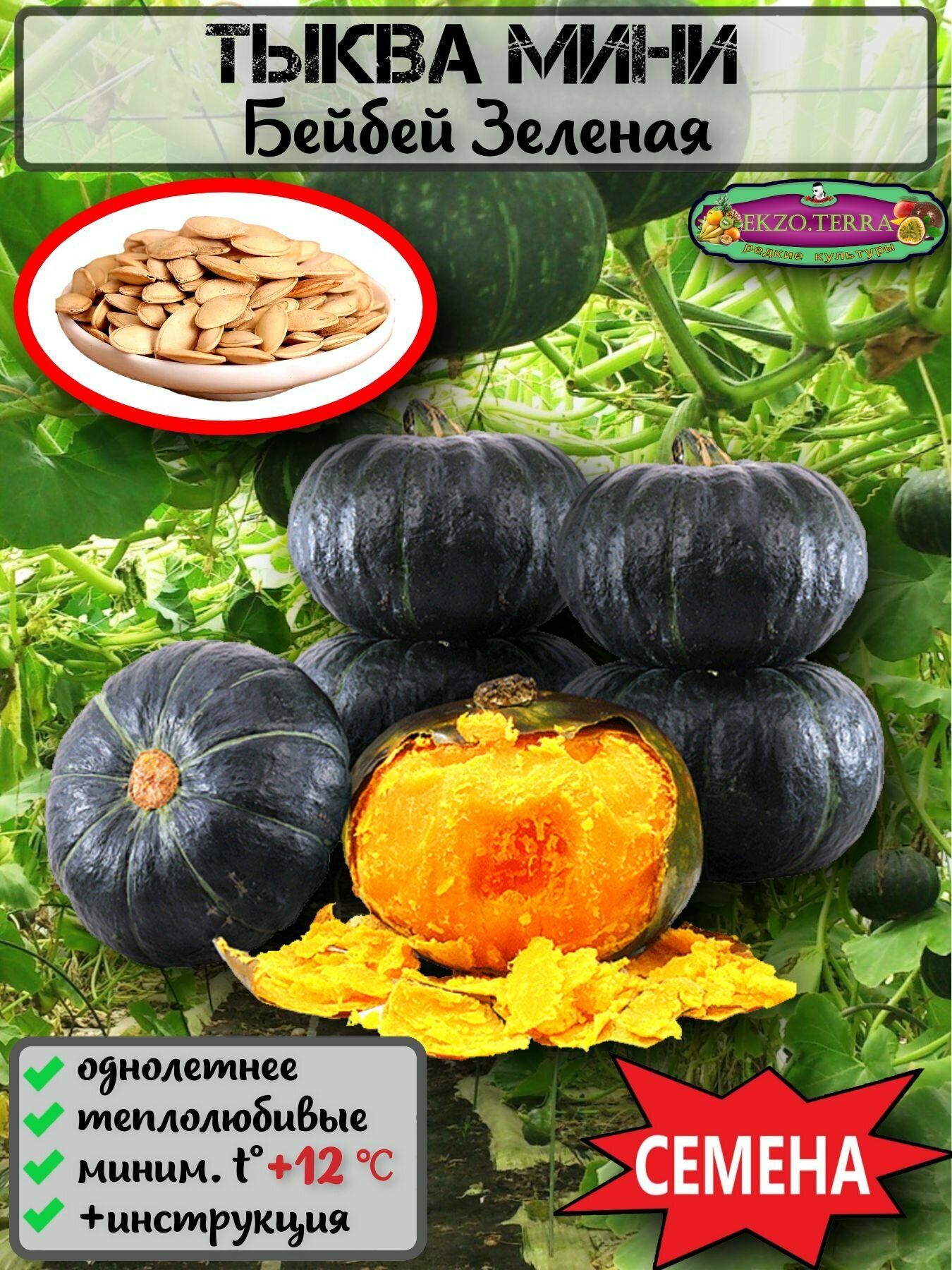 Семена Тыква Мини Бейбей Зеленая 5 шт.