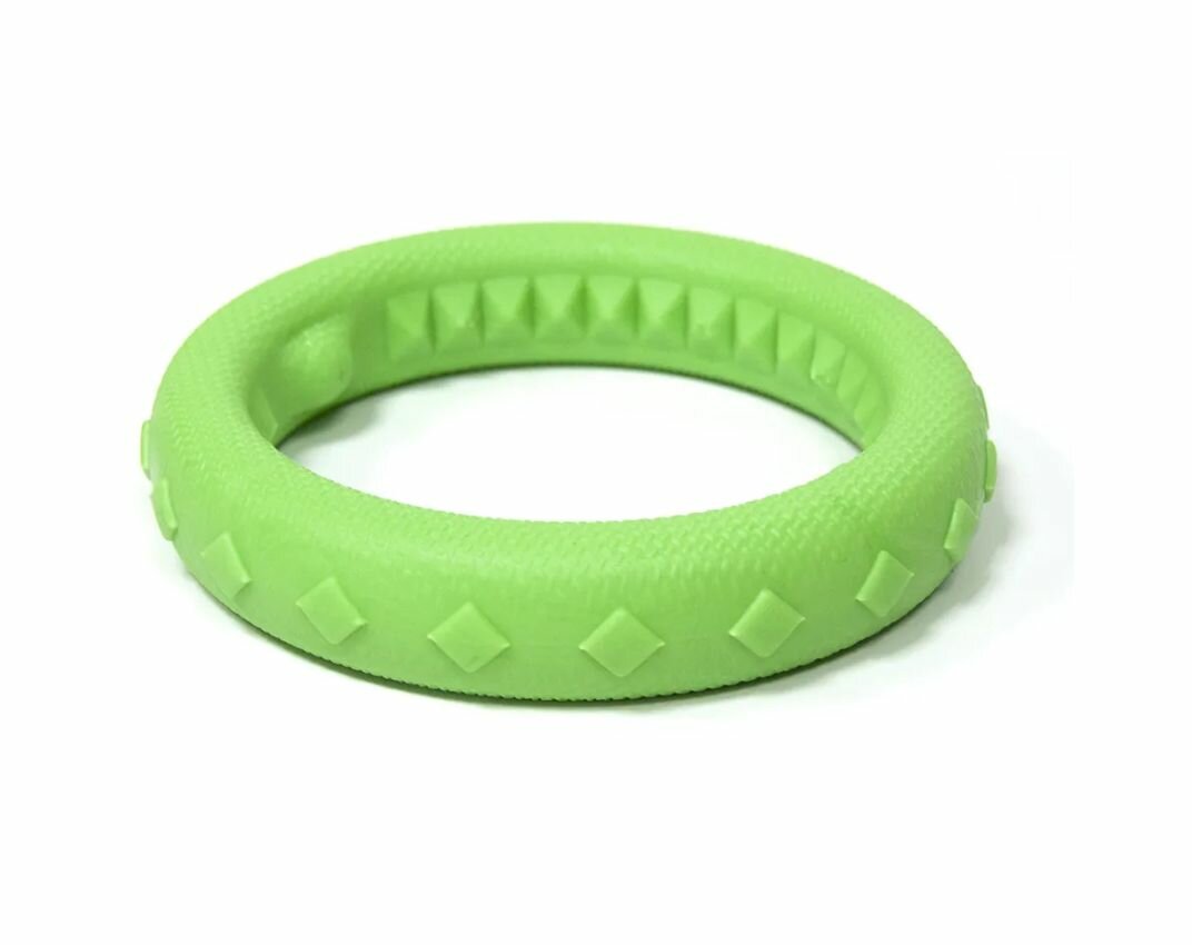 Зооник 164159 Игрушка кольцо плавающее большое пластикат, зелёное, 24,5 см