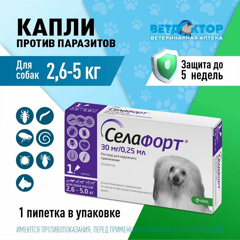 Капли Селафорт 30 мг для собак 2,6-5 кг, 1 пипетка 0,25 мл