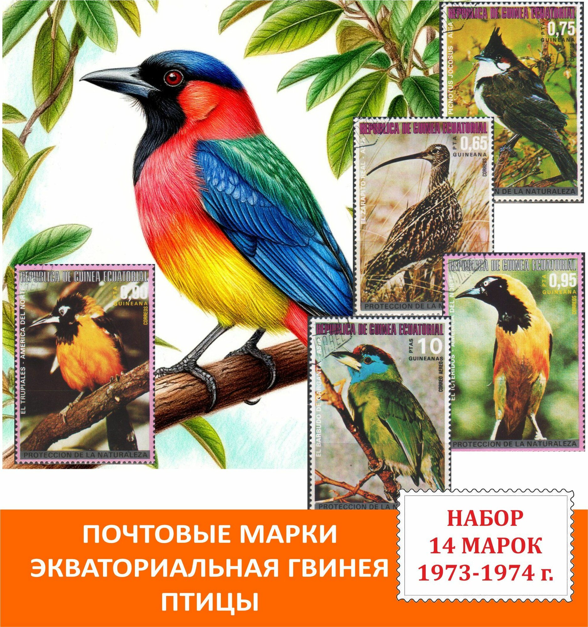 Почтовые марки Экваториальная Гвинея. Птицы. Набор 14 марок 1973-1974 годов выпуска