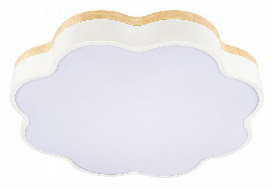 Накладной светильник Loft it Axel 10225/36 White