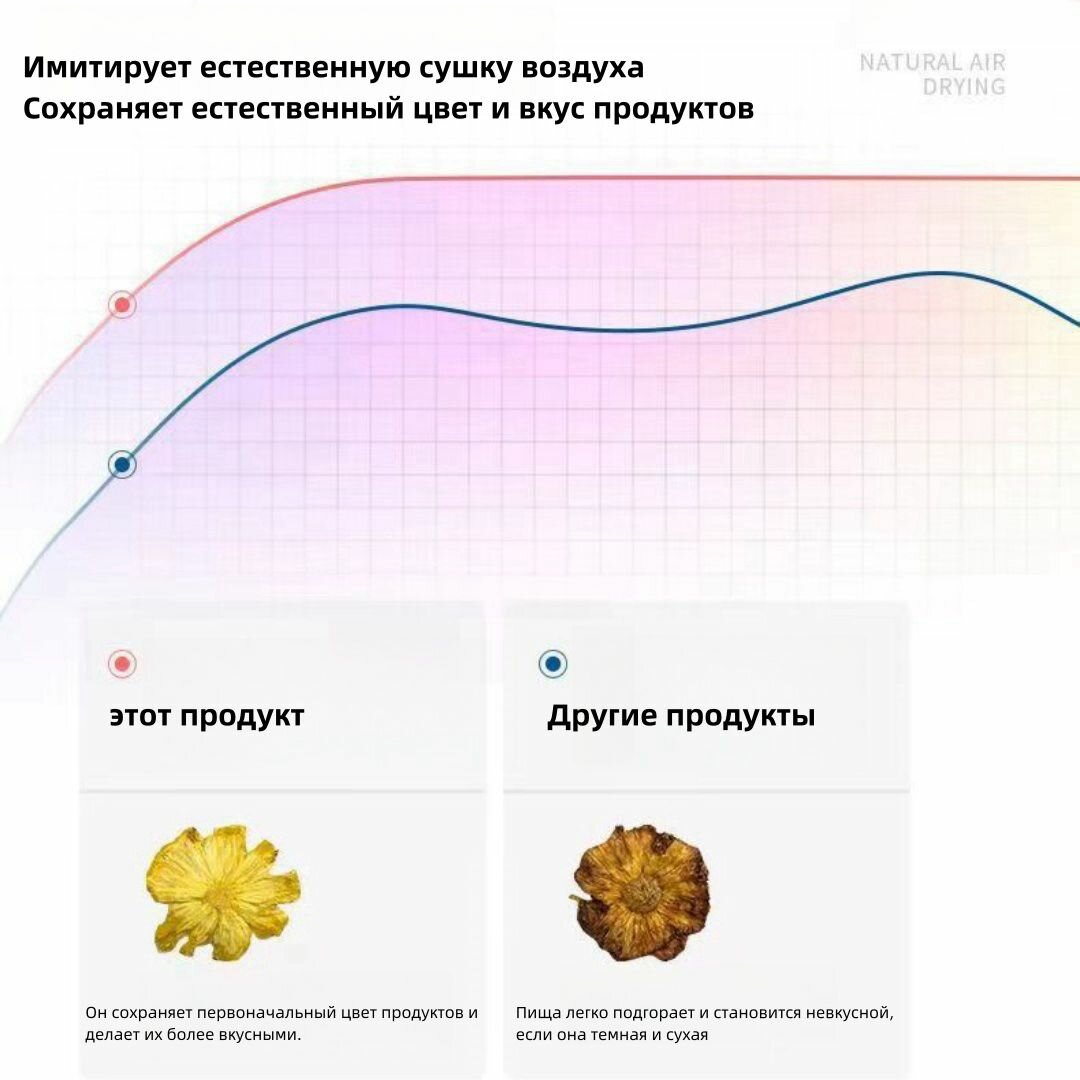 Дегидратор — фото 1