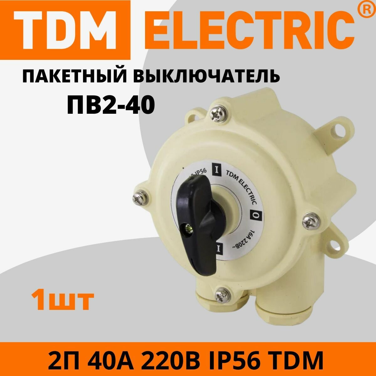 Пакетный выключатель ПВ2-40 2П 40А 220В IP56 TDM SQ0723-0014