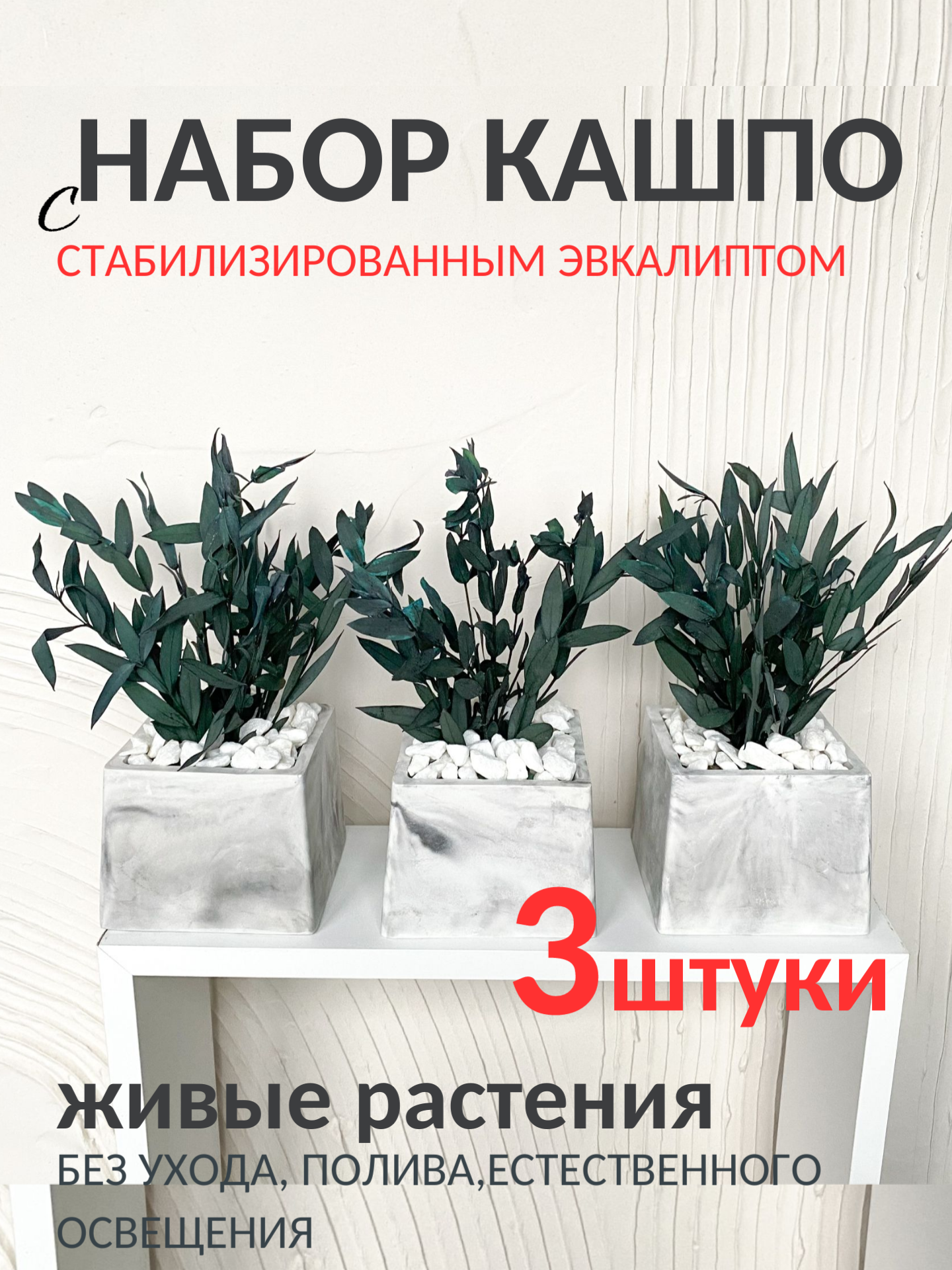 Эвкалипт стабилизированный в кашпо в форме куба, для декора дома