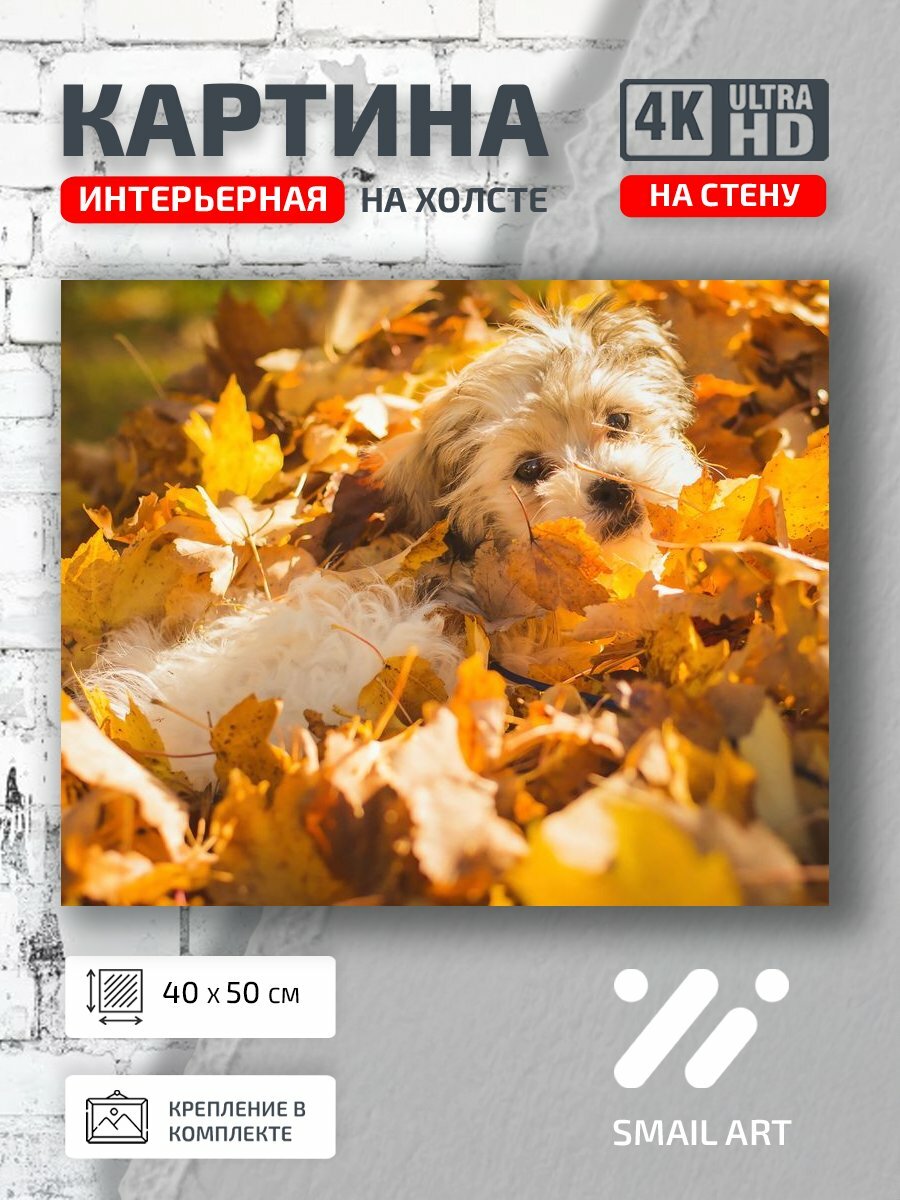 Картина на холсте интерьерная 40 на 50 на стену Листья Landscape для офиса пейзаж интерьер