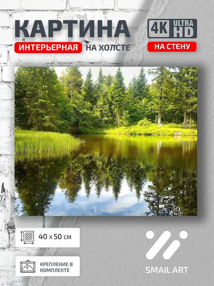 Картина на холсте интерьерная 40 на 50 на стену Отражение Landscape для гостиной пейзаж
