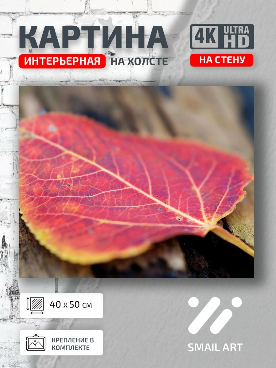 Картина на холсте интерьерная 40 на 50 на стену Бревно Landscape для гостиной пейзаж декор