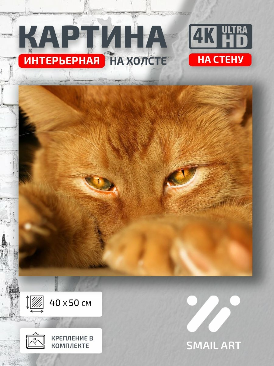 Картина на холсте интерьерная 40 на 50 на стену Глазами Animal для кабинета animal style