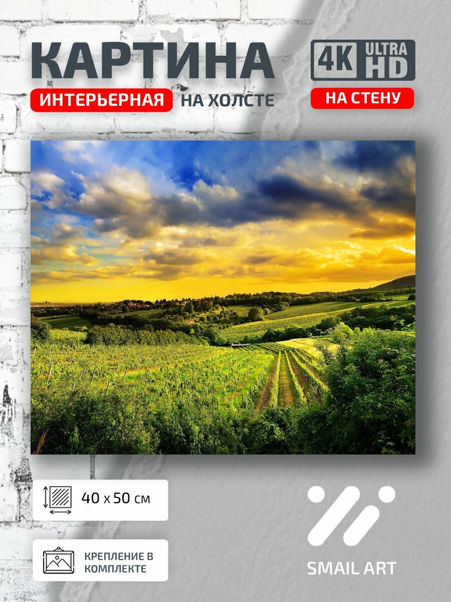 Картина на холсте интерьерная 40 на 50 на стену Поля Landscape для кабинета пейзаж интерьер