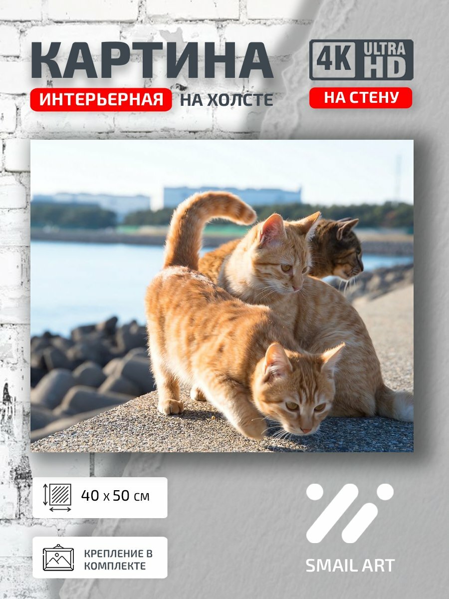 Картина на холсте интерьерная 40 на 50 на стену Озеро Landscape для офиса пейзаж интерьер