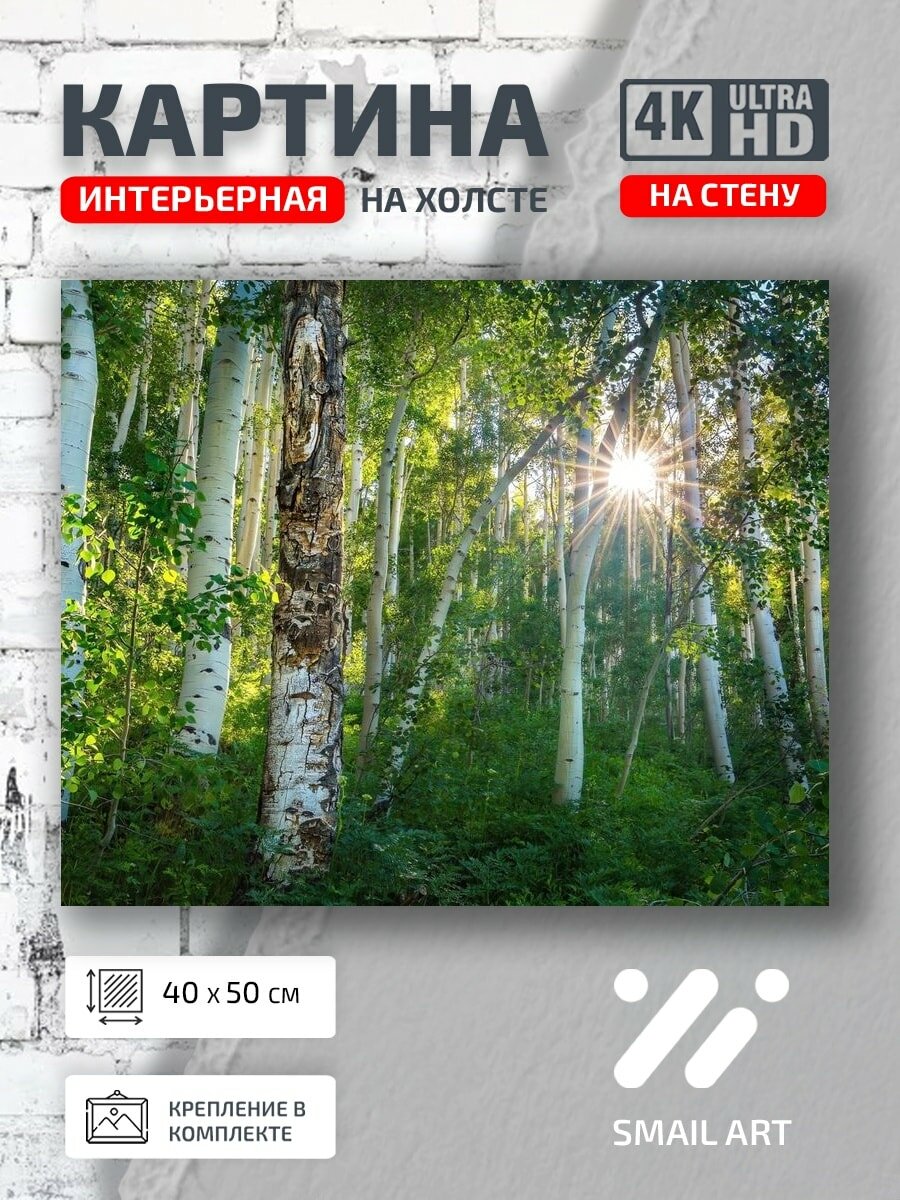 Картина на холсте интерьерная 40 на 50 на стену солнце весна для спальни пейзаж