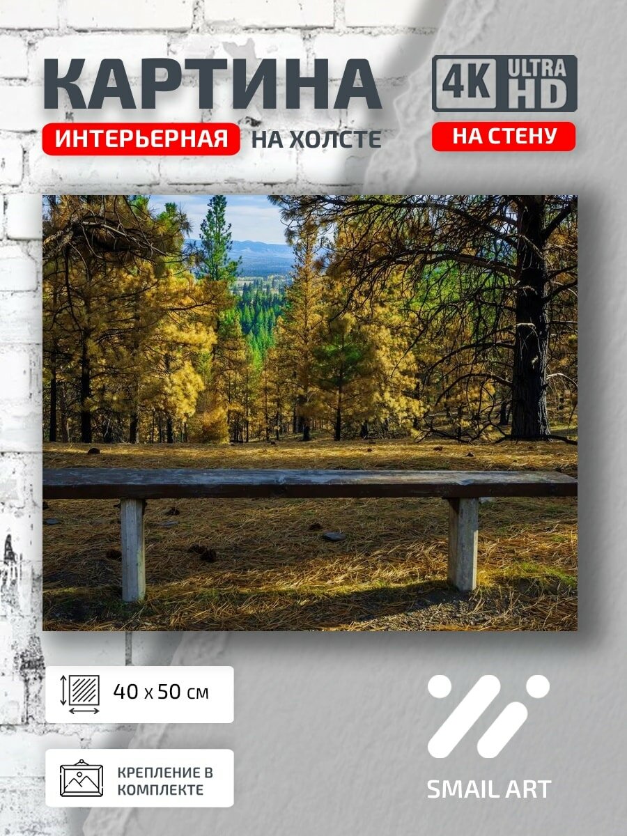 Картина на холсте интерьерная 40 на 50 на стену деревья скамейка для кафе пейзаж