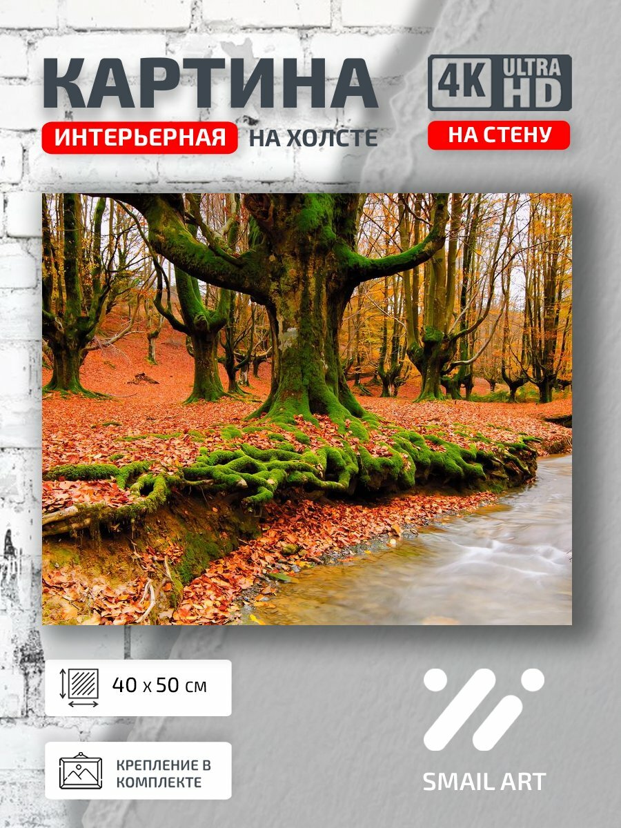Картина на холсте интерьерная 40 на 50 на стену Мхе Landscape для кабинета пейзаж интерьер